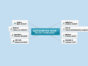 ¿QUÉ QUEREMOS SABER DE LOS PINGÜINOS? - Mind Map